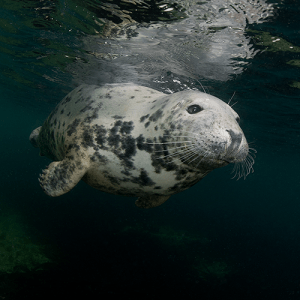 Egypte – Croisière Sud Sea Base – H2O Voyage – A la rencontre de l ...